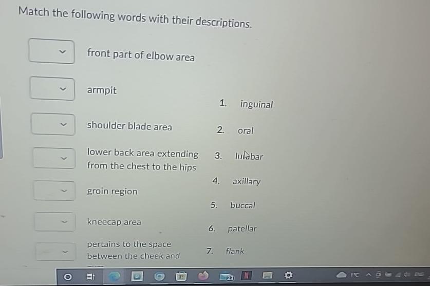 Solved Match the following words with their | Chegg.com