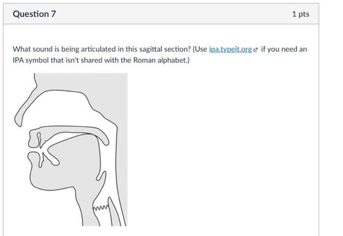 What sound is being articulated in this sagittal | Chegg.com