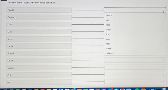 Solved match the prefix / subfix with its common | Chegg.com