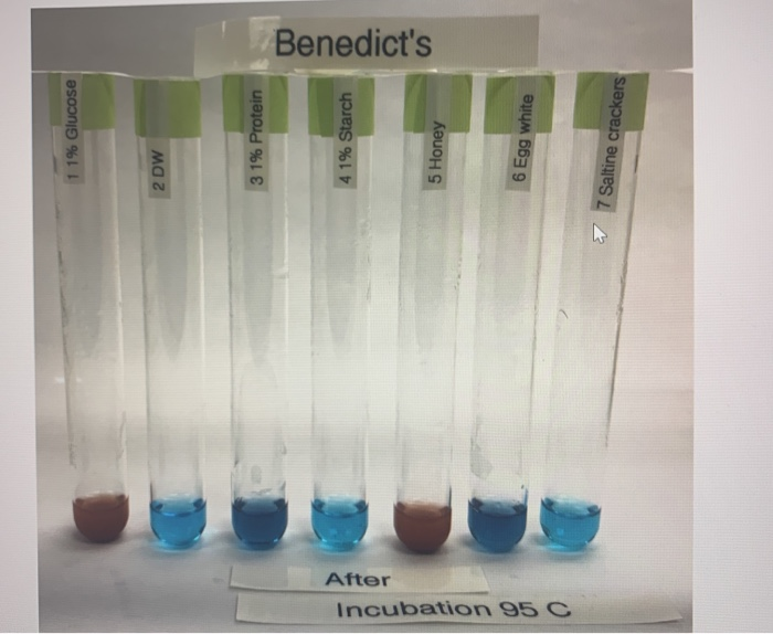Solved LAB 2: COLORIMETRIC TESTS 1. MATERIALS: 21 clean test | Chegg.com