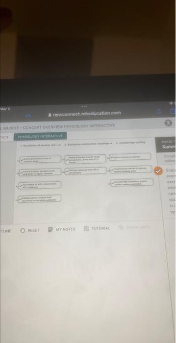 O newconnect mheducetion com Penhialoor iathisetivt | Chegg.com