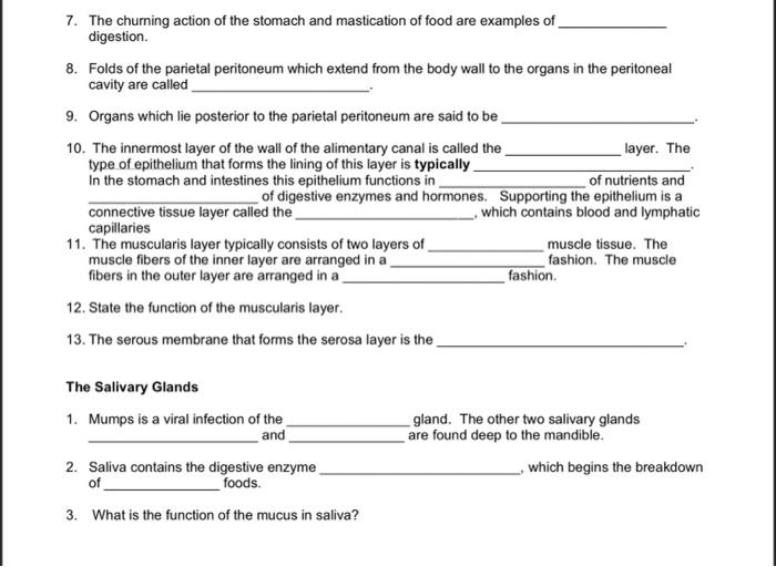 Solved 7. The churning action of the stomach and mastication | Chegg.com