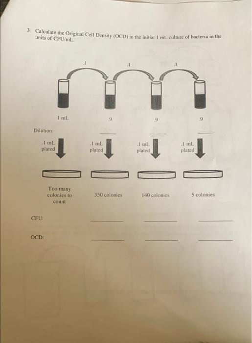 Solved 3. Calculate the Original Cell Density (OCD) in the | Chegg.com