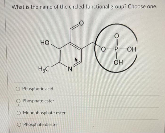 Solved What is the name of the circled functional group? | Chegg.com