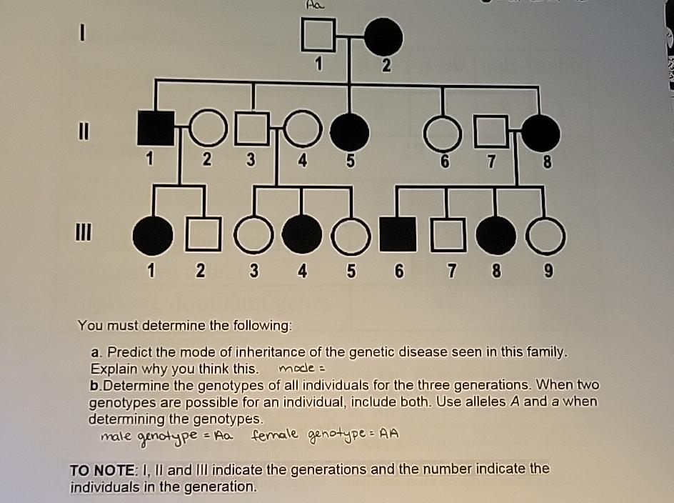 Solved You must determine the following:a. ﻿Predict the mode | Chegg.com