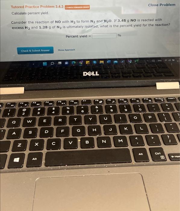 Solved Tutored Practice Problem 3 4 3 Calculate Percent