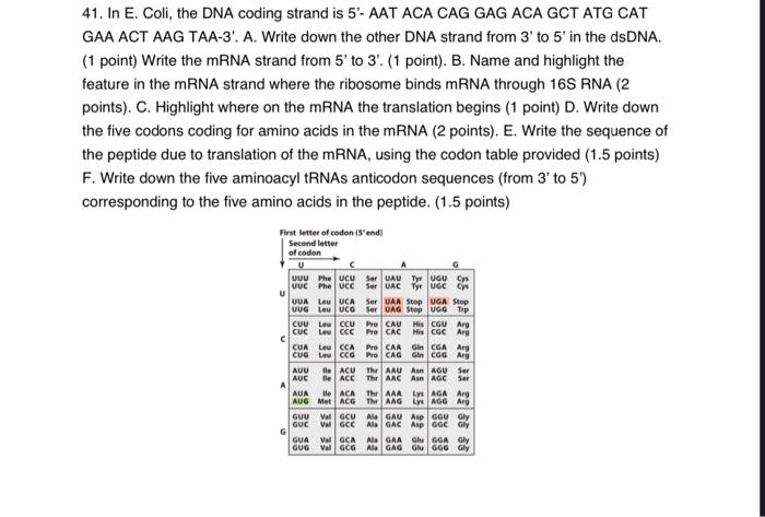 Solved 41. In E. Coli, the DNA coding strand is 5'- AAT ACA | Chegg.com