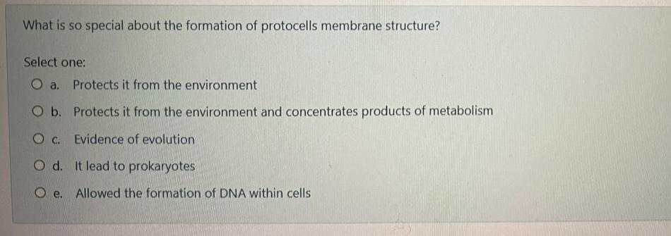 Solved What is so special about the formation of protocells | Chegg.com