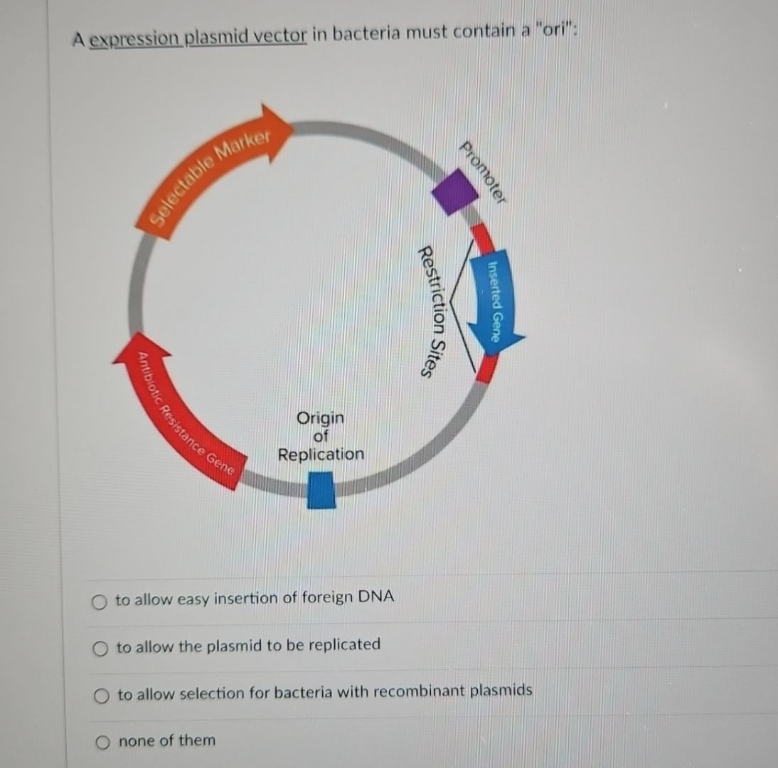 Solved A expression plasmid vector in bacteria must contain | Chegg.com