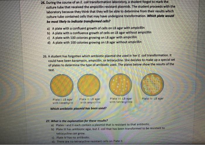 Solved 25. During the course of an E. coli transformation | Chegg.com