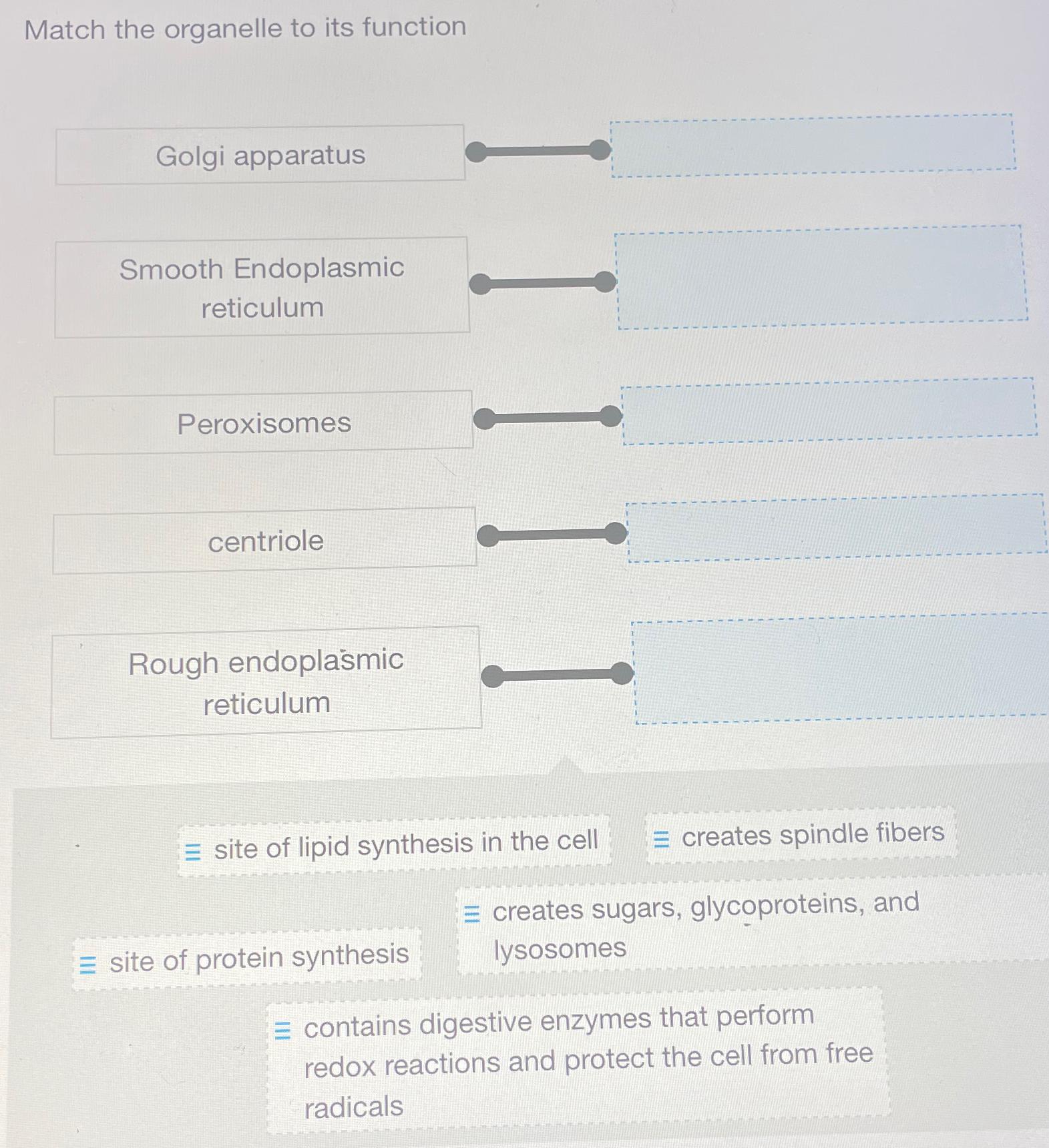 Solved Match the organelle to its functionSmooth Endoplasmic | Chegg.com