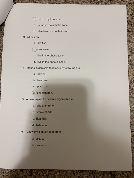 Solved Wednesday 14.4: Ocean Life Lesson 14.4: True or False | Chegg.com