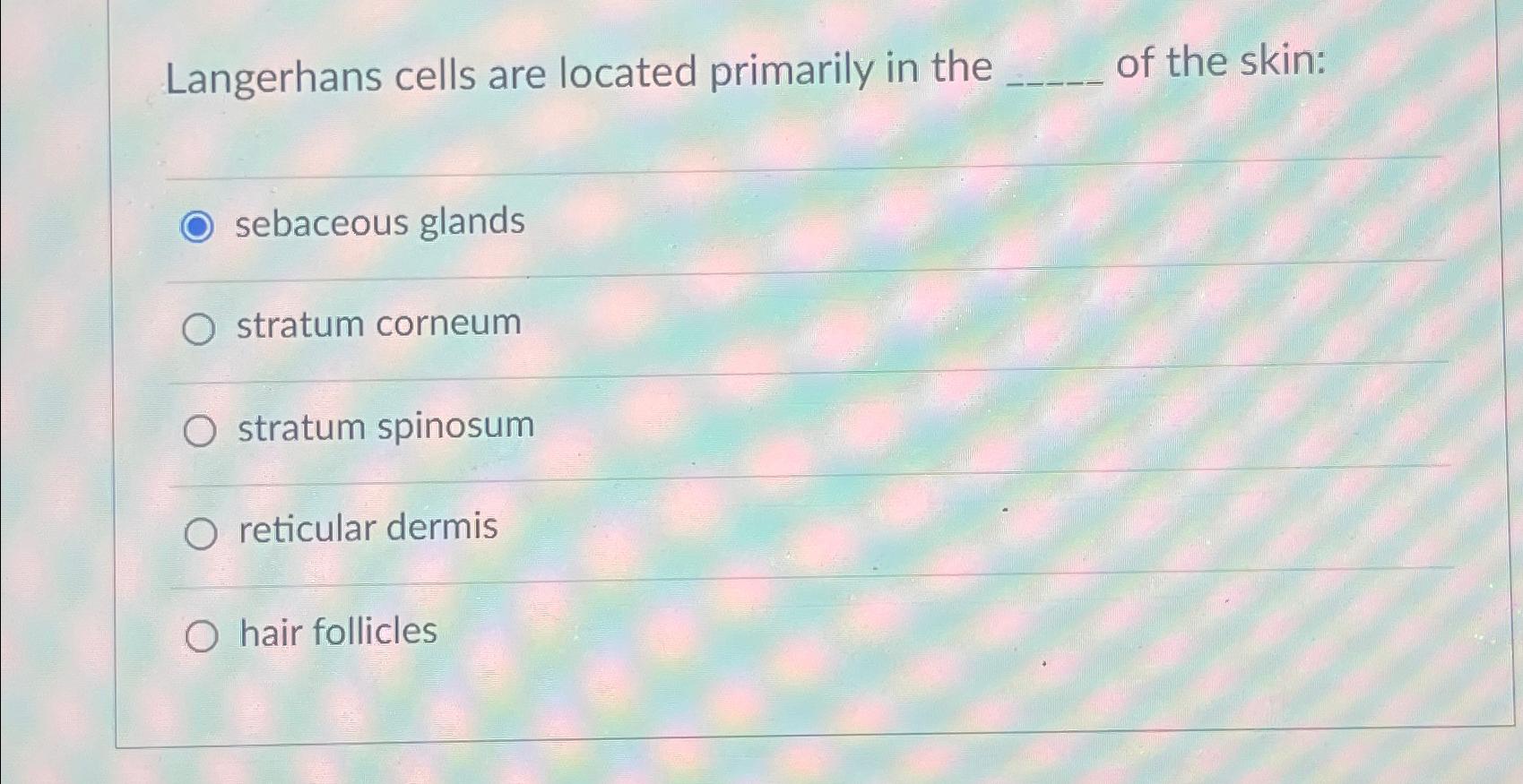 Solved Langerhans cells are located primarily in the of the | Chegg.com