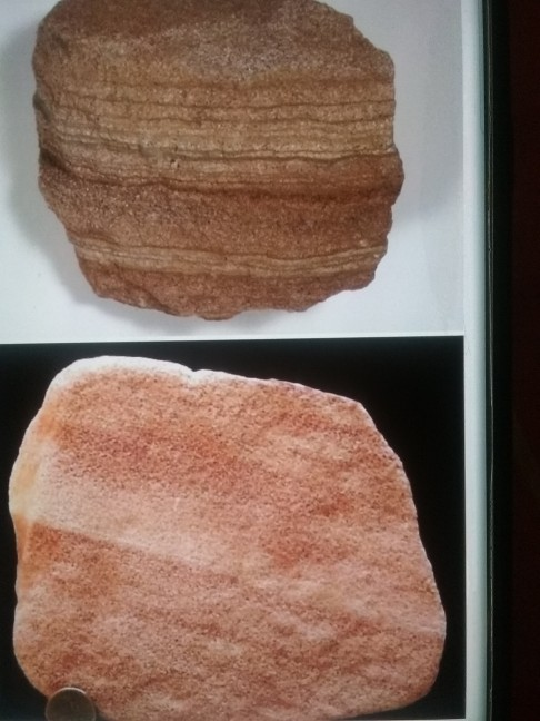 Solved Lab 3 Sedimentary rocks Sample Composition of Rock | Chegg.com