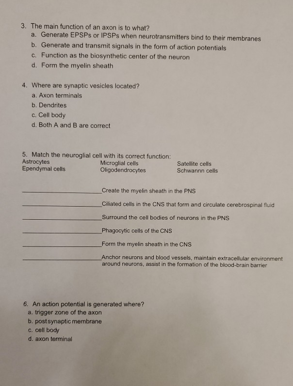 Solved 3. The main function of an axon is to what? a. | Chegg.com