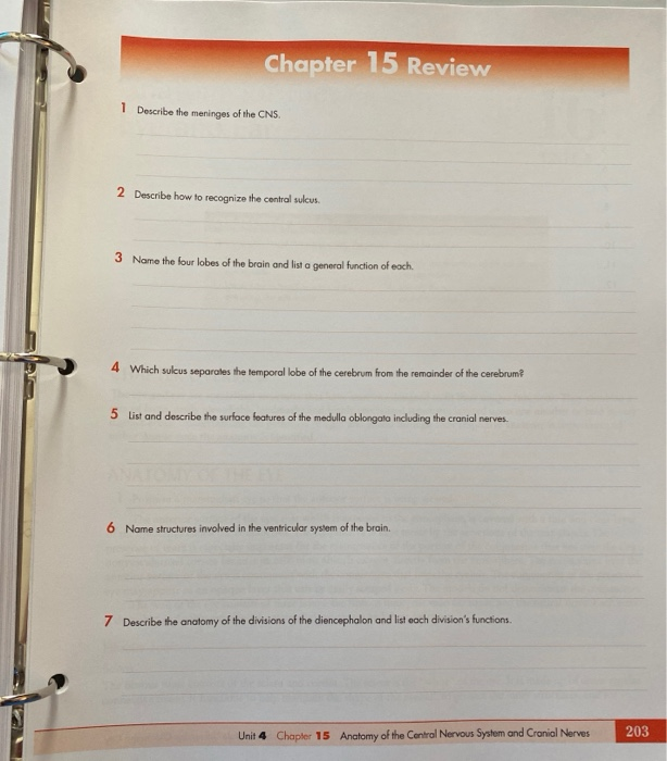 Solved Chapter 15 Review 1 Describe the meninges of the CNS. | Chegg.com