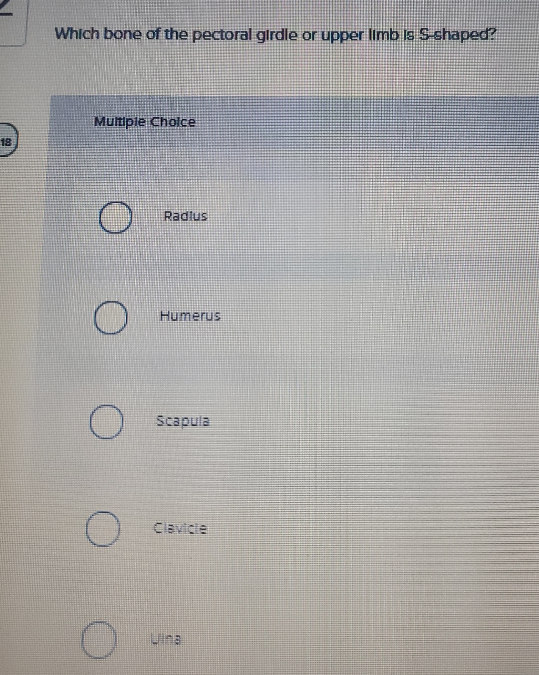 Solved Which bone of the pectoral girdle or upper limb is | Chegg.com