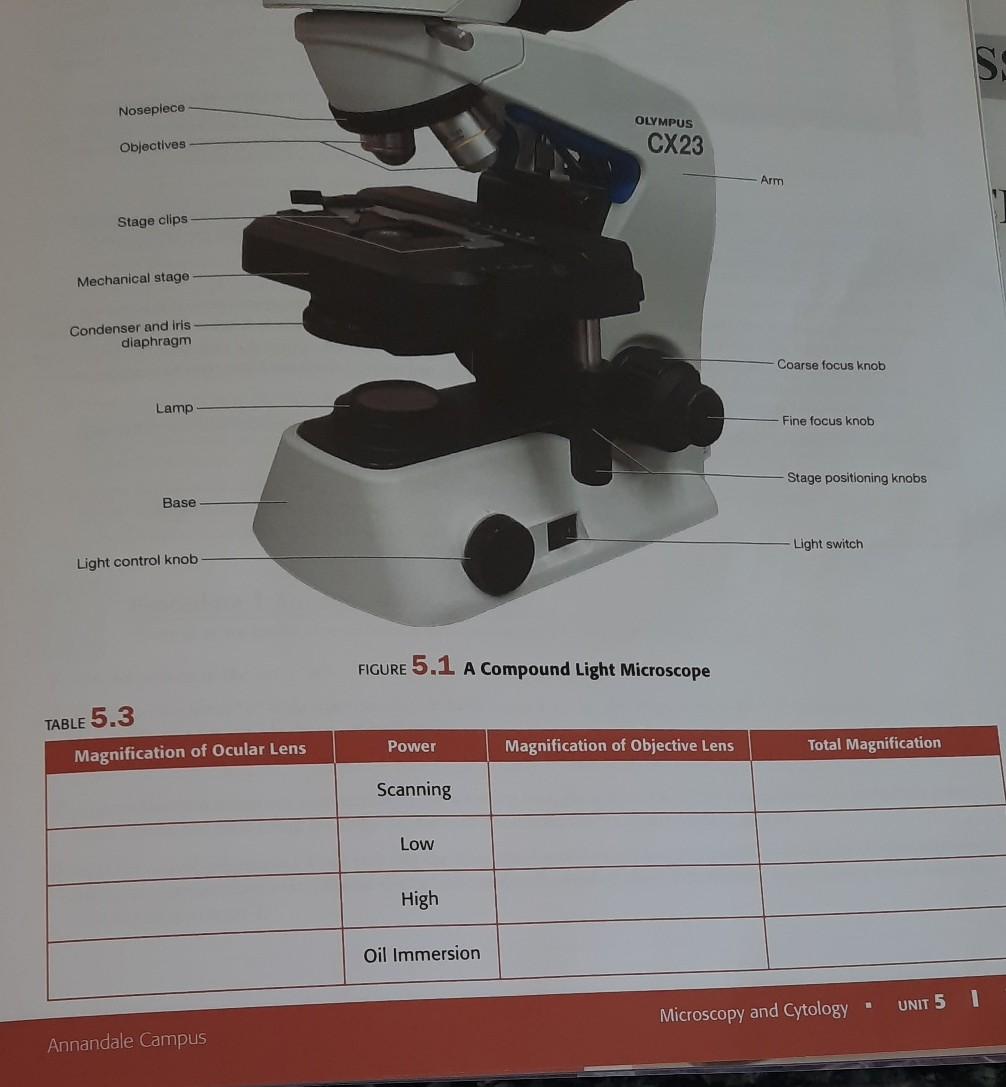 Solved S Noseplece OLYMPUS Objectives CX23 Arm Stage clips | Chegg.com