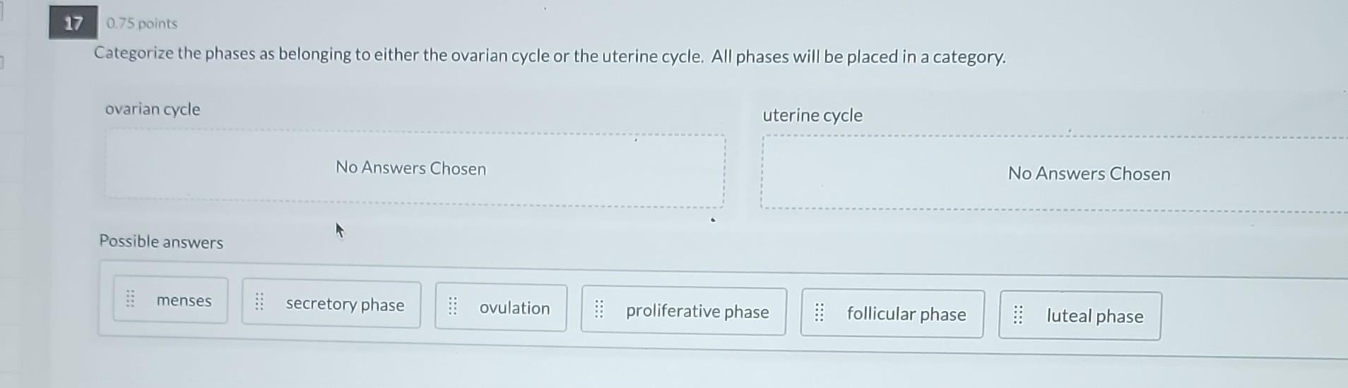 Solved Categorize the phases as belonging to either the | Chegg.com Solved Categorize the phases as belonging to either the | Chegg.com