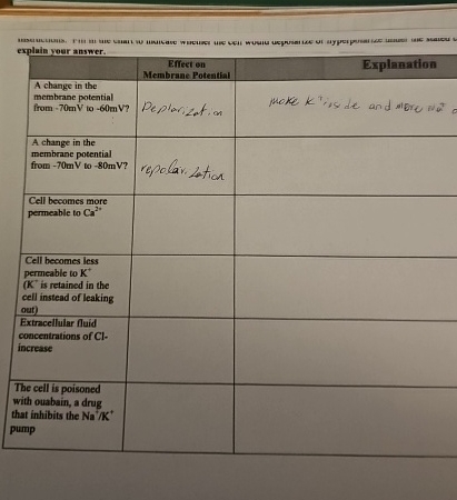 Solved explaie your answer.\table[[,\table[[Effect | Chegg.com