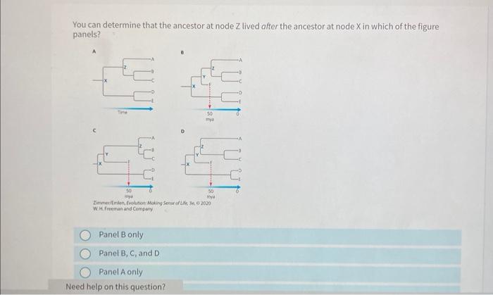 Solved You Can Determine That The Ancestor At Node Z Lived