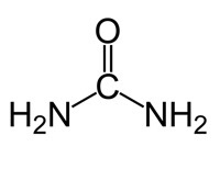 Solved H2N C. NH2 | Chegg.com