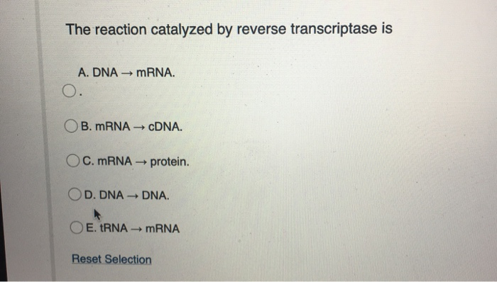 Solved The reaction catalyzed by reverse transcriptase is A. | Chegg.com