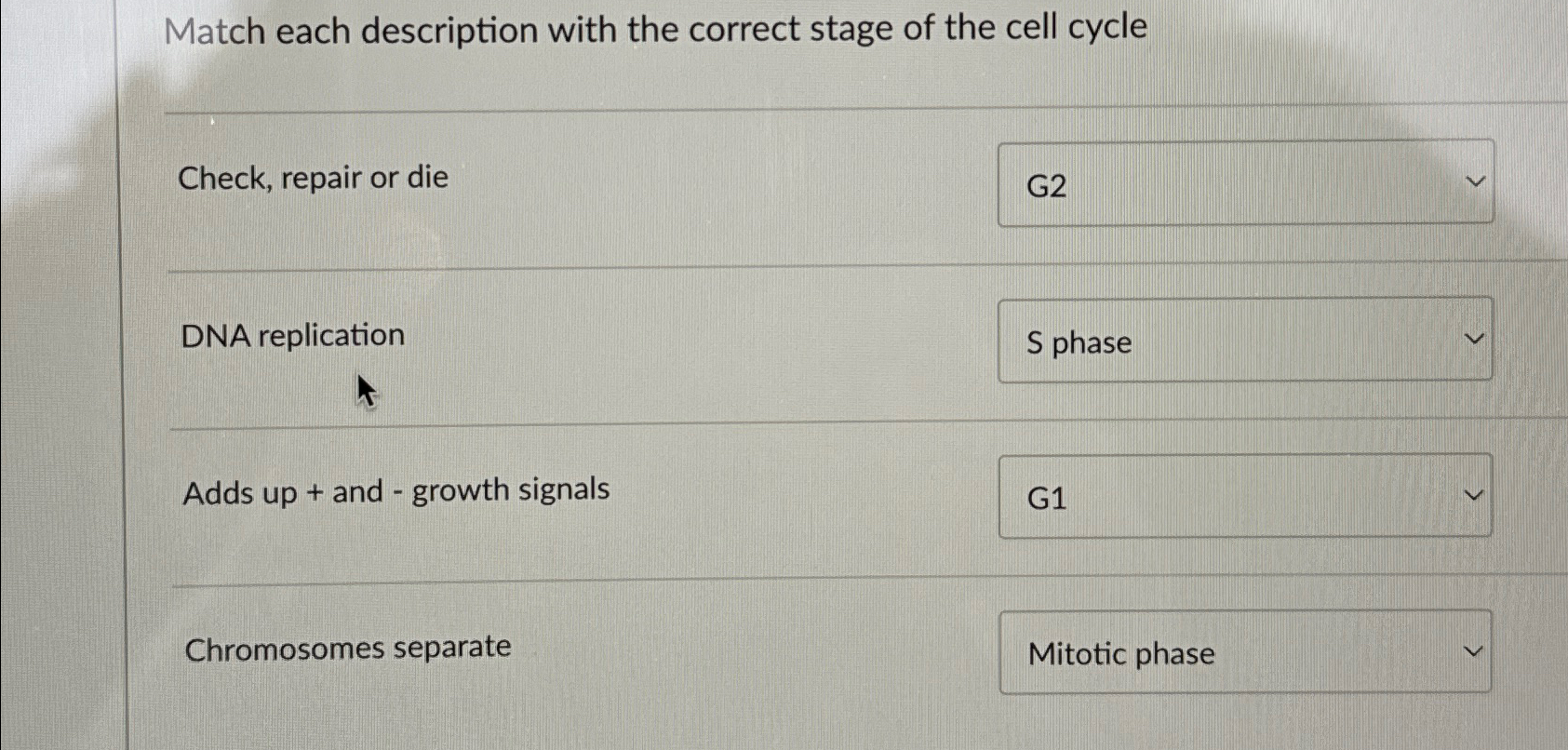 Solved Match each description with the correct stage of the | Chegg.com