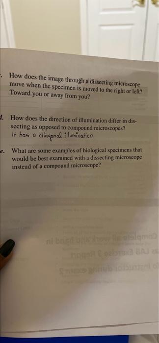 Solved How does the image through a dissecting microscope | Chegg.com