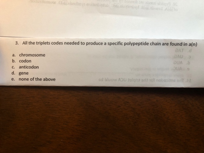 Solved 3. All the triplets codes needed to produce a | Chegg.com