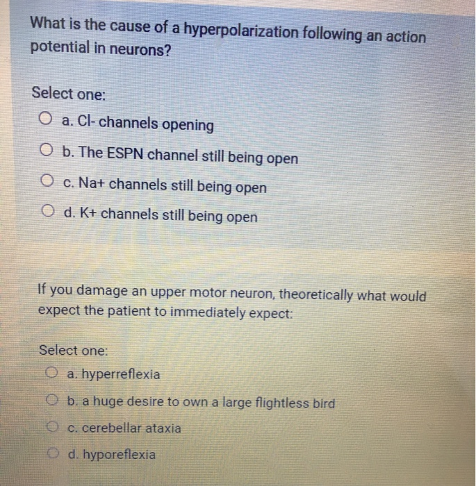 Solved What is the cause of a hyperpolarization following an | Chegg.com