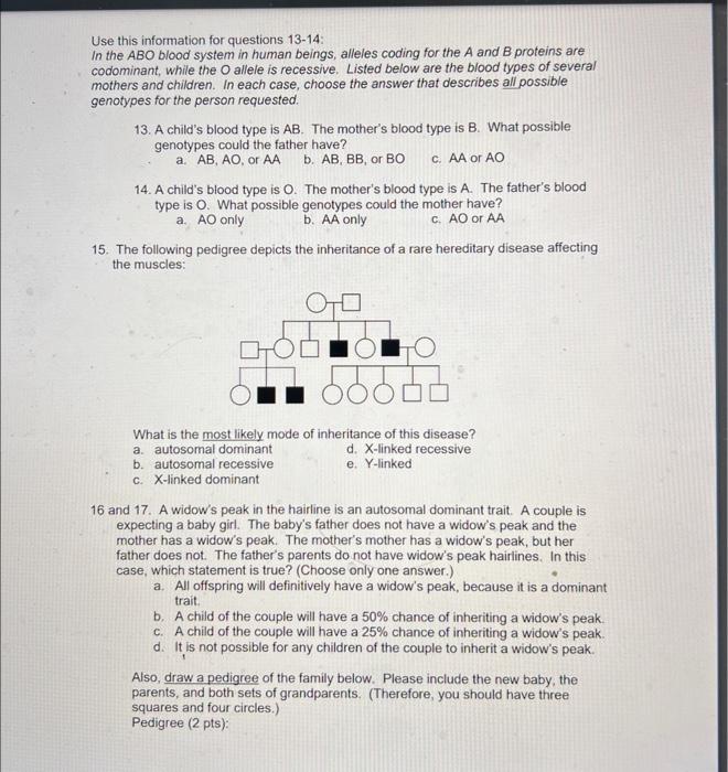 Solved Use this information for questions 13-14: In the ABO | Chegg.com