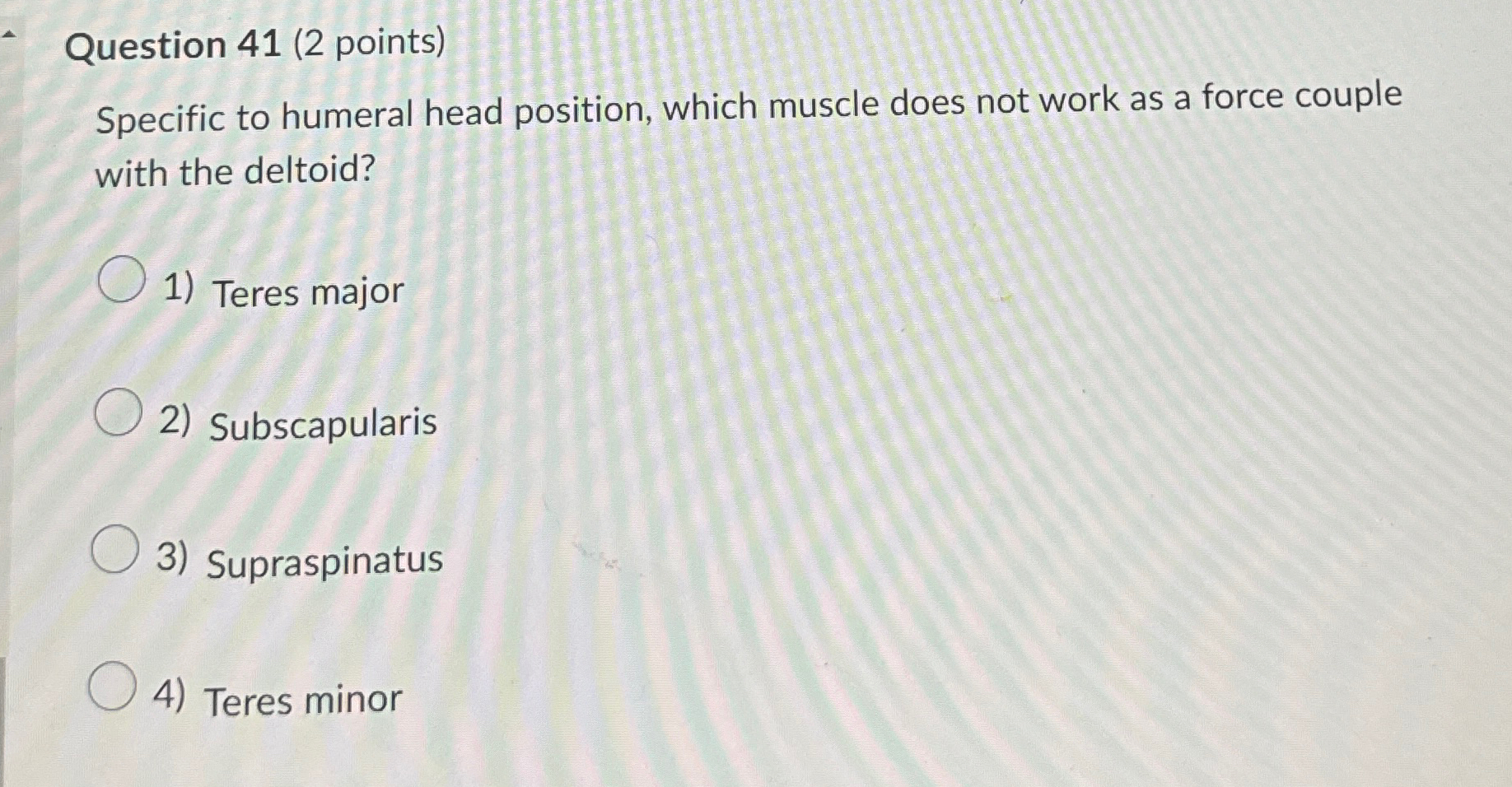 Solved Question 41 (2 ﻿points)Specific to humeral head | Chegg.com
