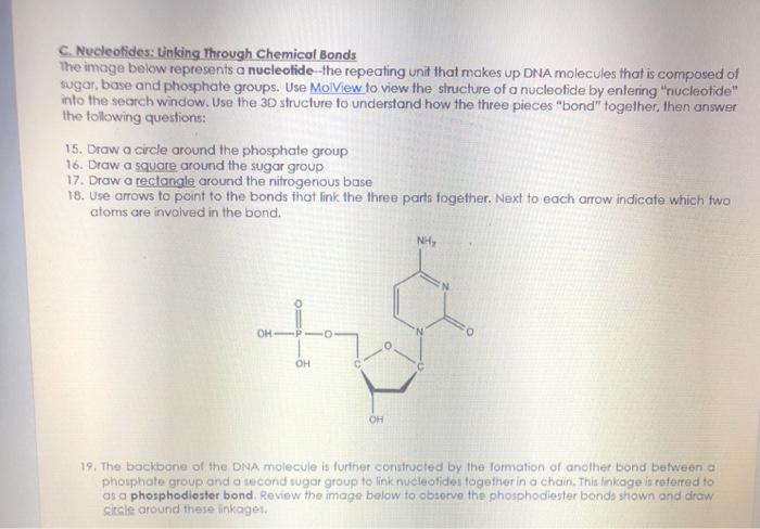 Solved EPIGENETICS: INVESTIGATING THE STRUCTURE AND FUNCTION | Chegg.com