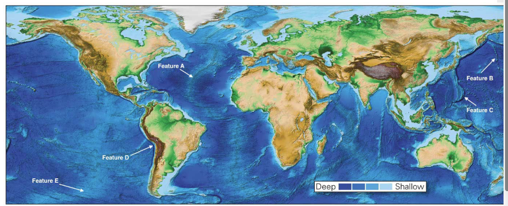 Solved Sort the features of the ocean floor that Harry Hess | Chegg.com