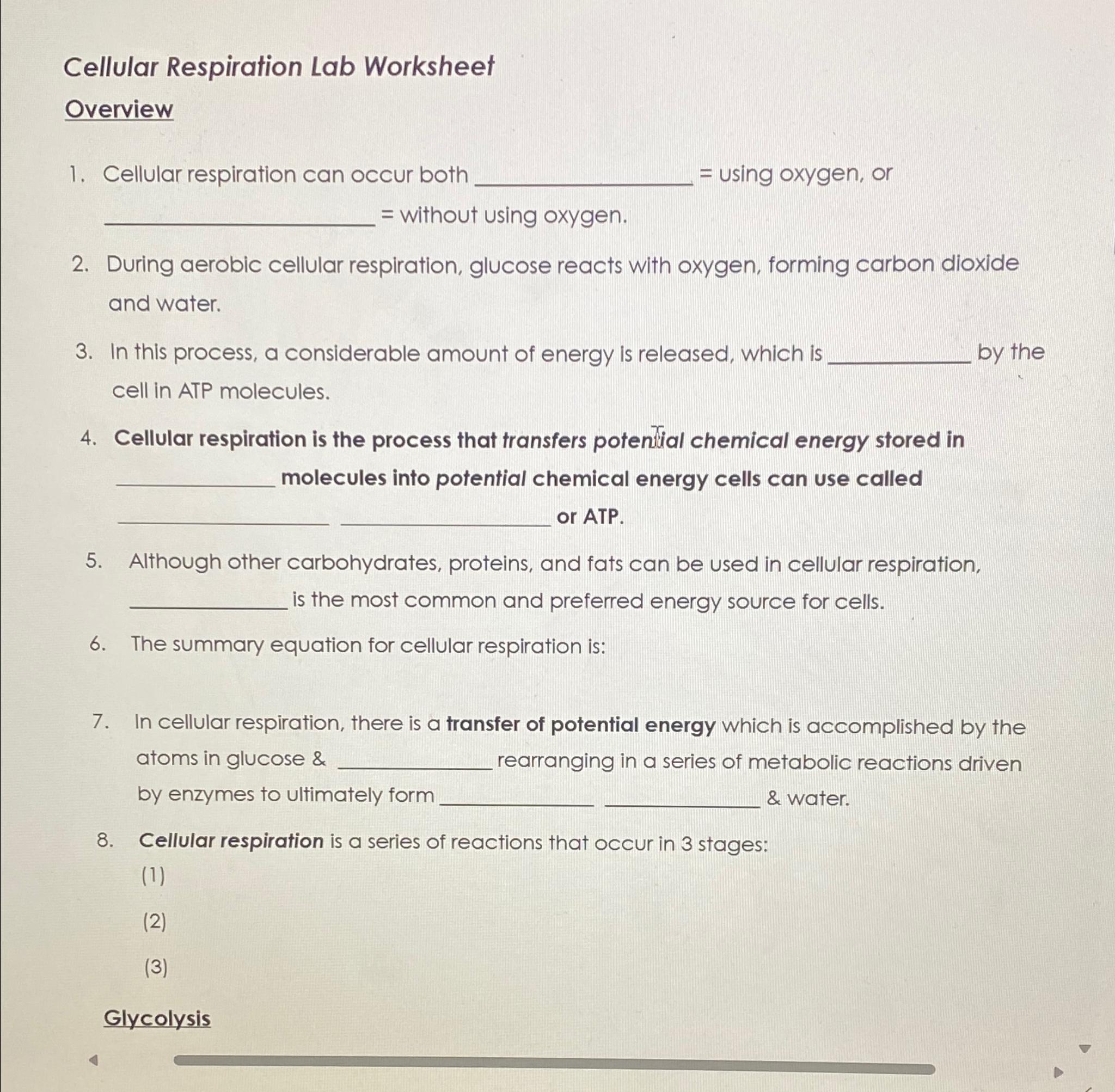 Solved Cellular Respiration Lab WorksheetOverviewCellular | Chegg.com