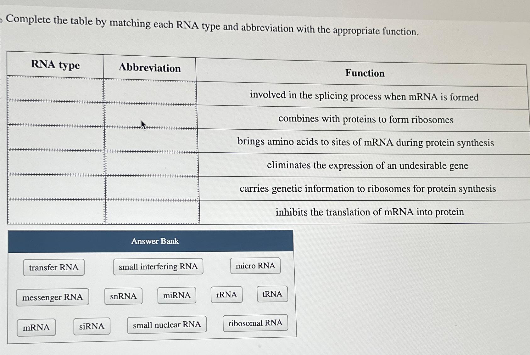 Solved Complete the table by matching each RNA type and | Chegg.com