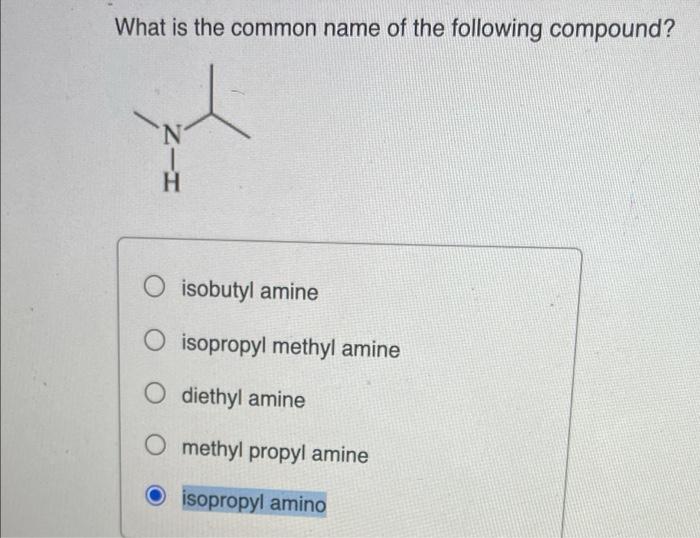 Solved What is the common name of the following compound? | Chegg.com
