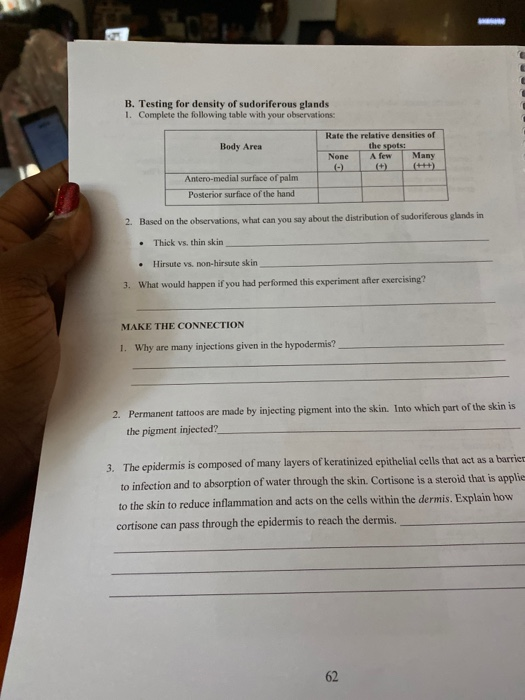 Solved 6. Name the specific sub-layer of the epidermis where | Chegg.com