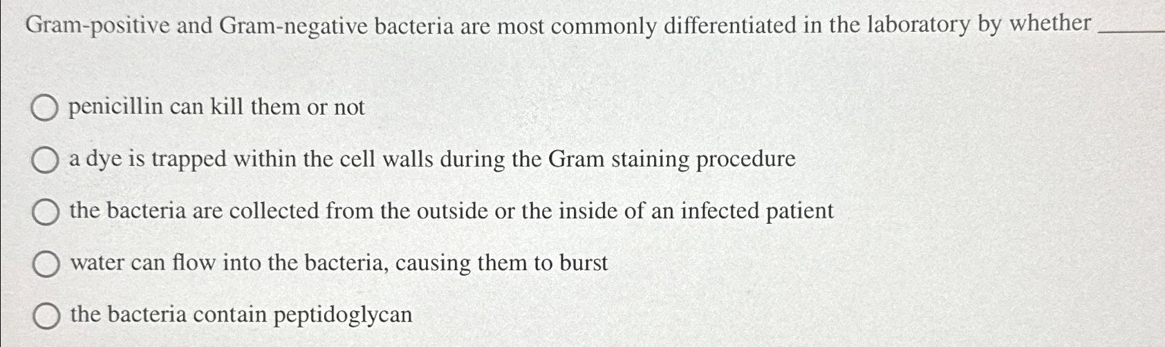 Solved Gram-positive and Gram-negative bacteria are most | Chegg.com