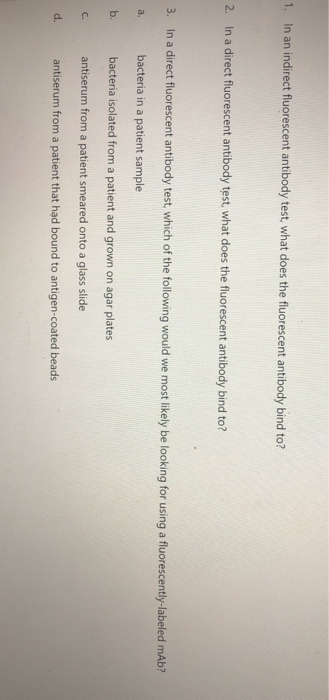 Solved 1. In an indirect fluorescent antibody test, what | Chegg.com