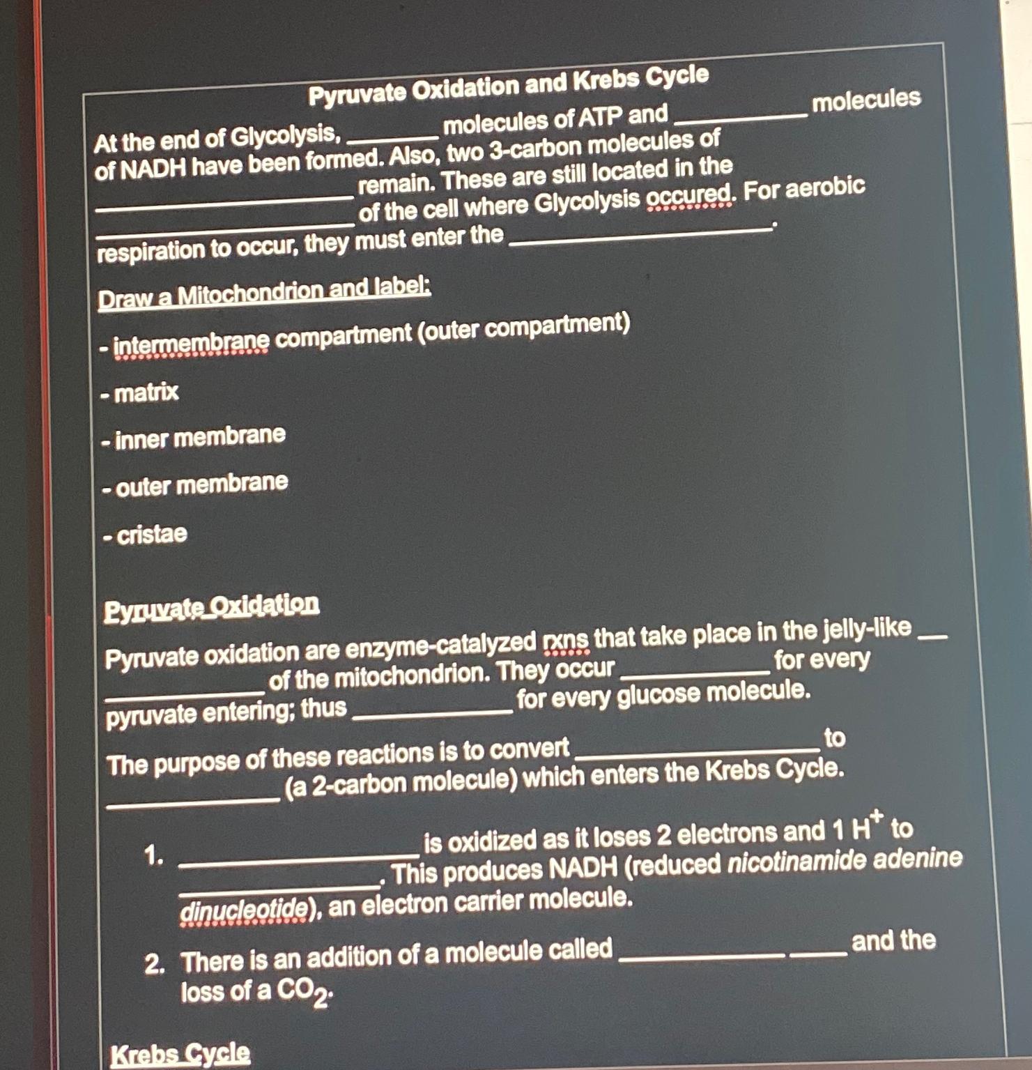 Solved Pyruvate Oxidation and Krebs CycleAt the end of | Chegg.com