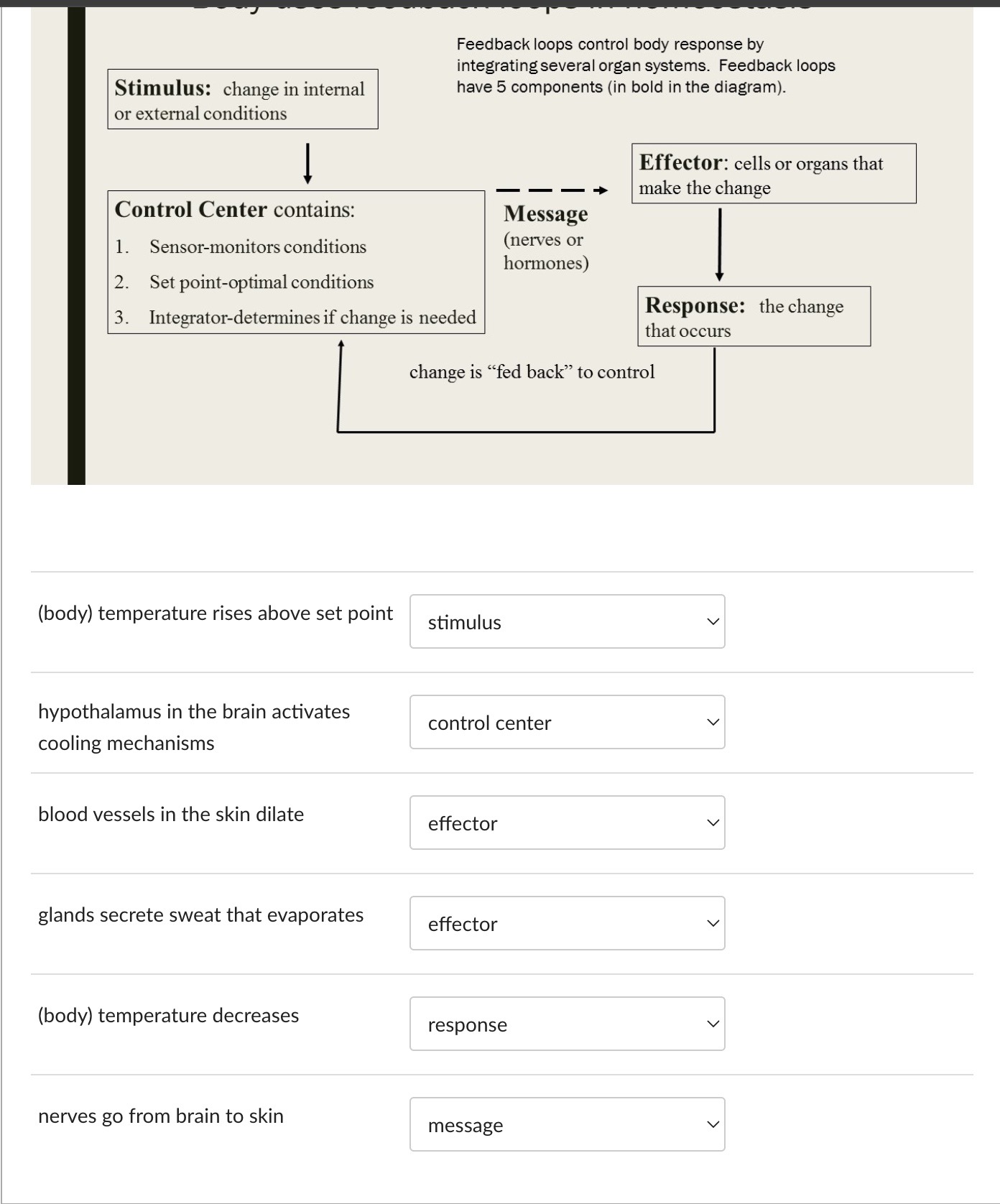 Solved Feedback loops control body response byintegrating | Chegg.com