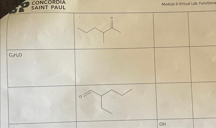 Solved Module 6 Virtual Lab: Functiona | Chegg.com
