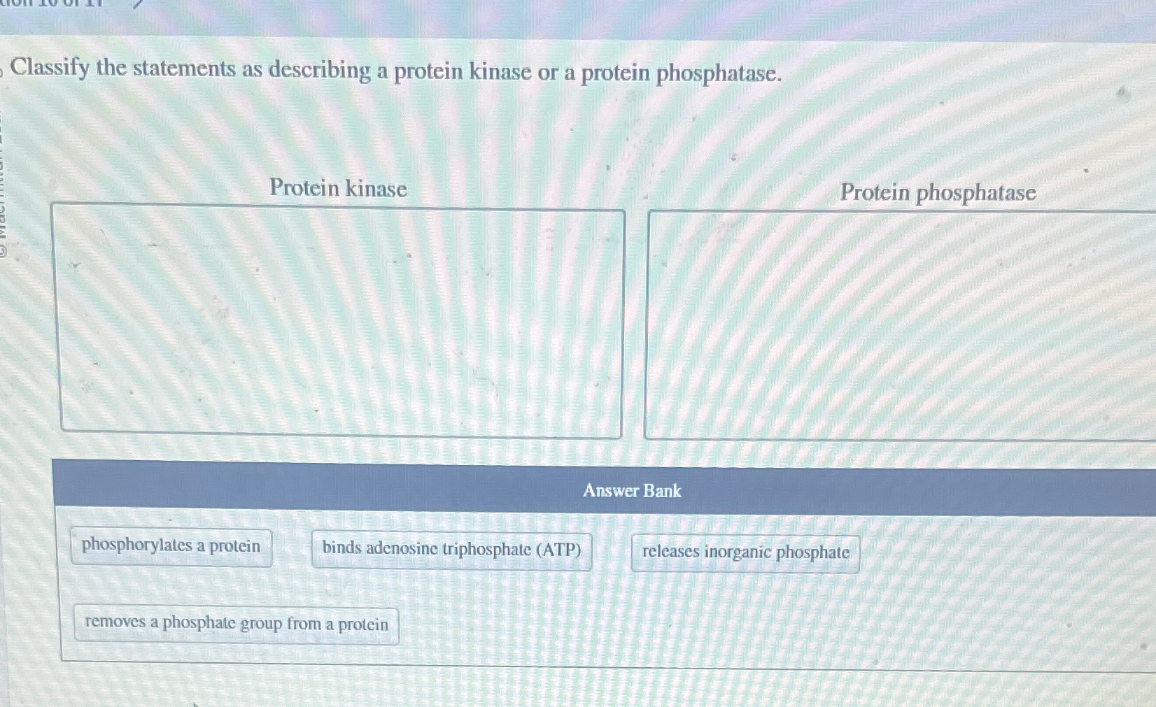 Solved Classify the statements as describing a protein | Chegg.com