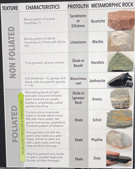 Solved TEXTURE CHARACTERISTICS PROTOLITH METAMORPHIC ROCK | Chegg.com