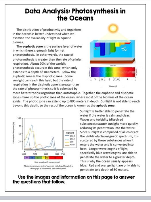 Solved Data Analysis: Photosynthesis in the Oceans The | Chegg.com
