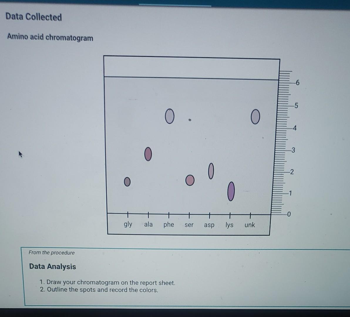 Solved Data Collected Amino acid chromatogram -6 -5 4 -3 -2 | Chegg.com
