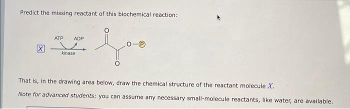 Solved Predict the missing reactant of this biochemical | Chegg.com