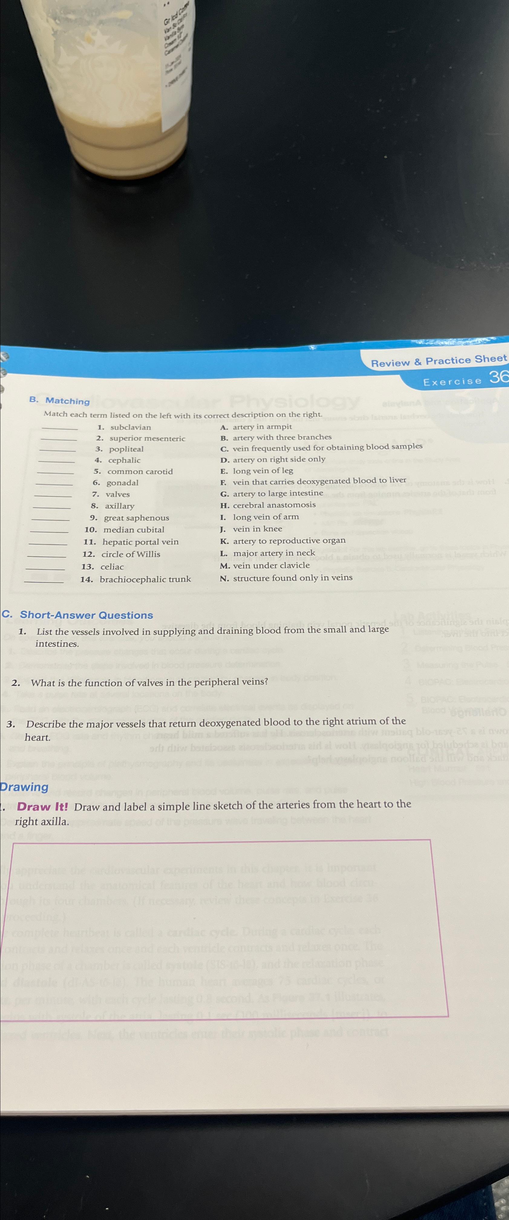 Solved Review & Practice SheetExercise 36B. ﻿MatchingMatch | Chegg.com